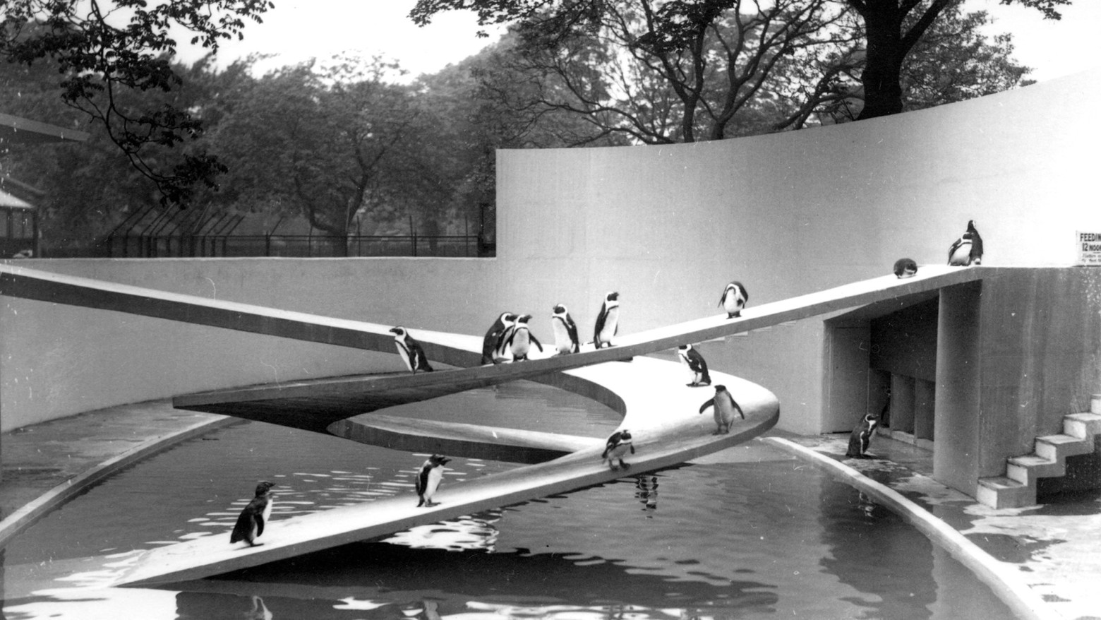 Lubetkin’s legacy: 5 seminal projects by the late Modernist architect ...