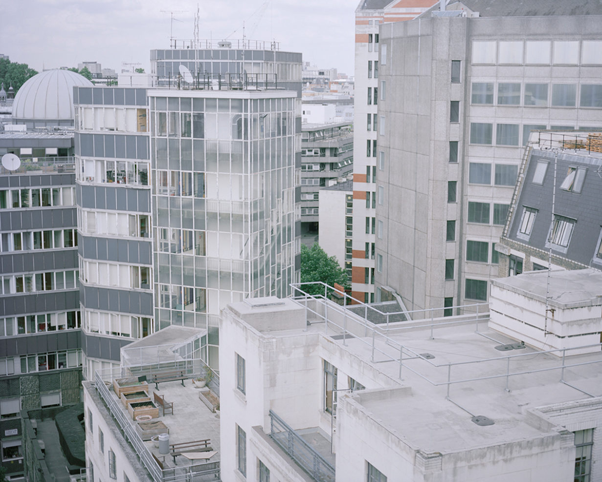 High rise honey: Dan Mariner photographs London’s rooftop beehives