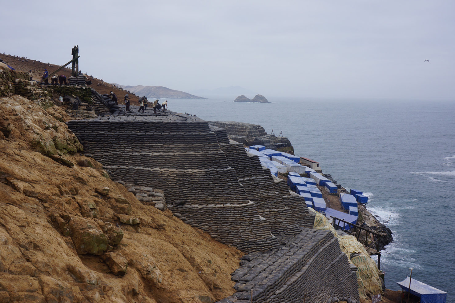Artist Dinh Q Lê roams the guano islands for his film ‘The Colony’