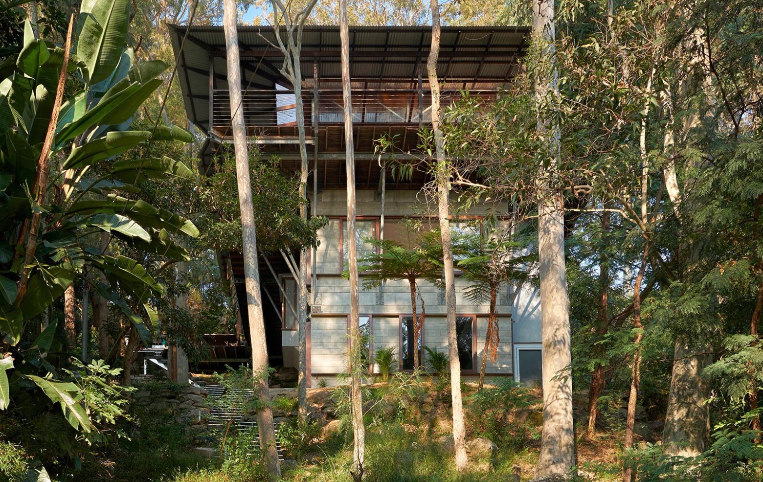 Property of the week: Treetop House by Peter Stutchbury in Sydney