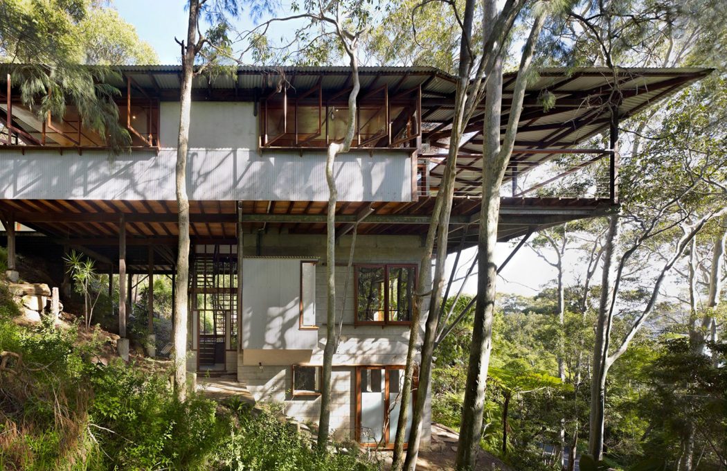 Property of the week: Treetop House by Peter Stutchbury in Sydney