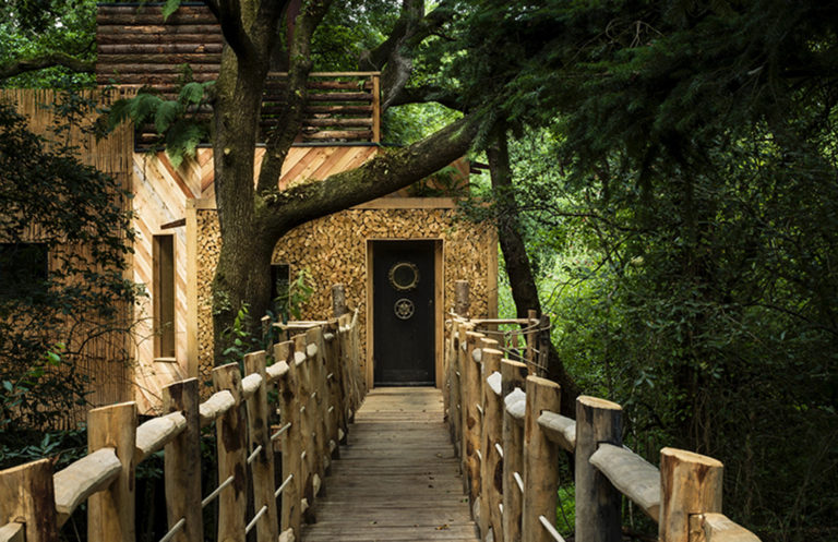 Rental of the week: The Woodman's Treehouse in Dorset, UK - The Spaces