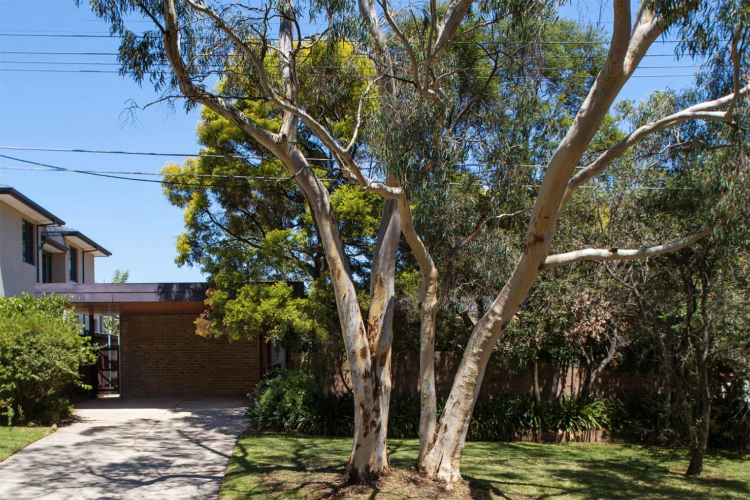 Property of the week: a midcentury bolthole by Sydney Opera House ...