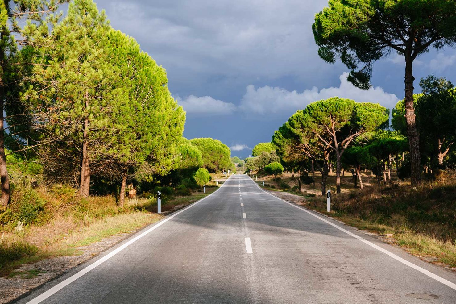 Why Portugal’s wild Comporta coastline should be your summer sanctuary