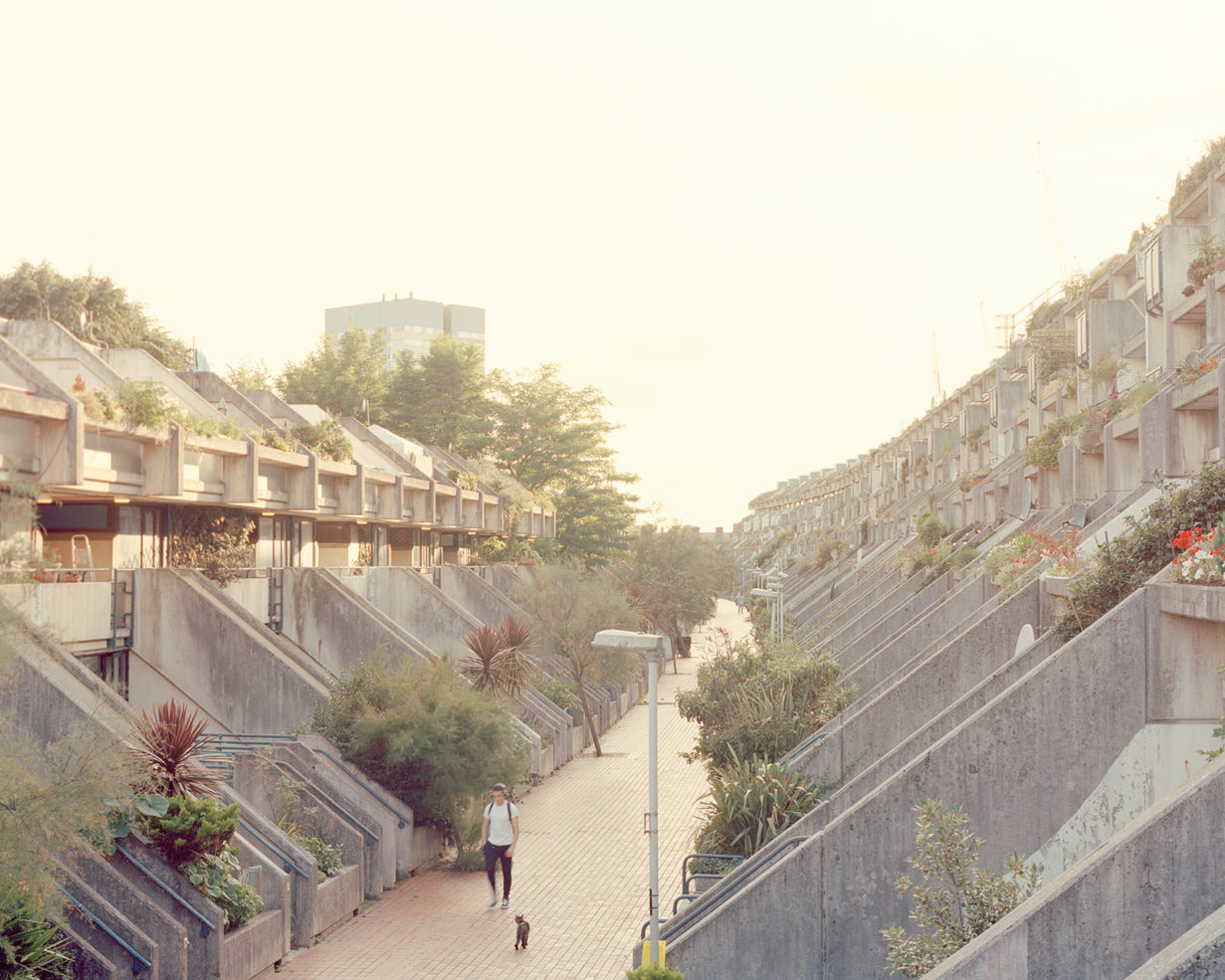 Explore the Modernist legacy of Neave Brown